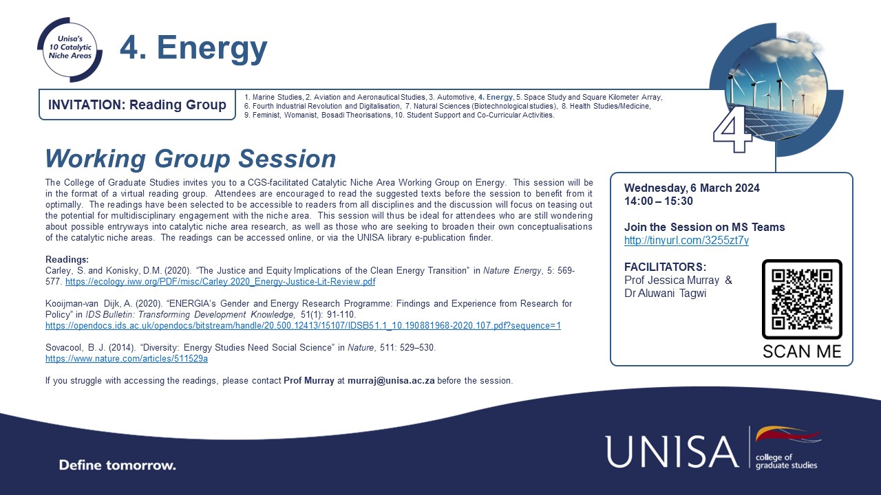 Catalytic niche area working group on energy